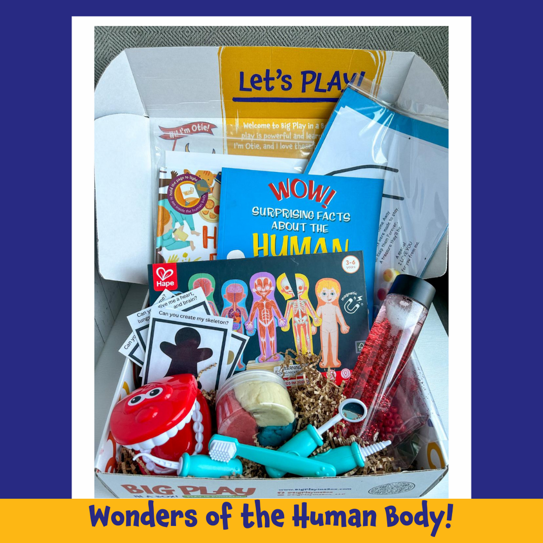 Quarterly Subscription Boxes – bigplayinabox